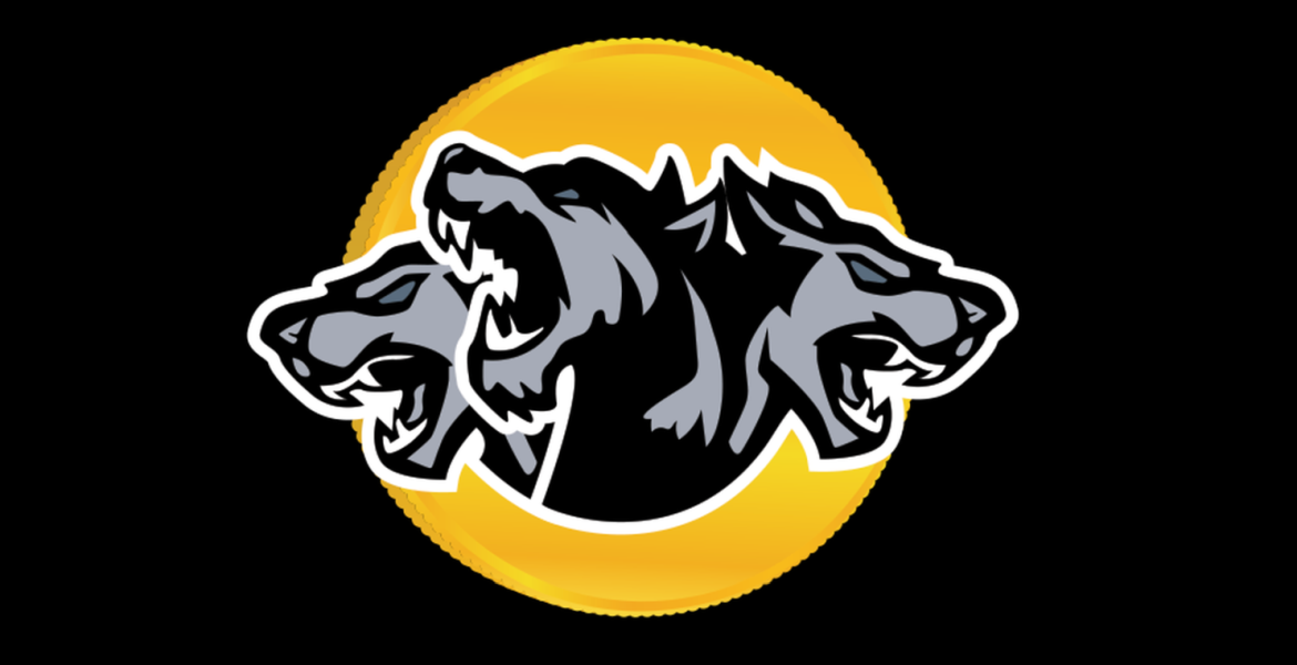 Medas Digital Network